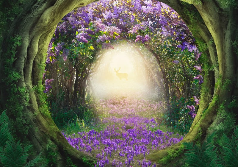 Matrix Energy Healing – Circle of Angels